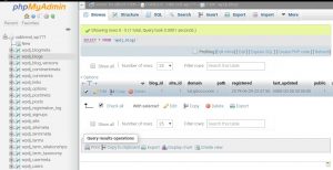 Change WordPress Multisite: subdomains/subdirectories - Plesk