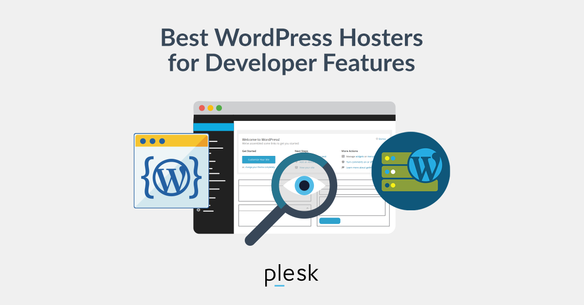 Top Hosting Providers for WordPress Developer Features - Plesk Insights