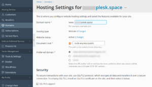 Plesk Node.Js Setup