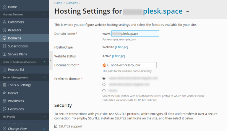 Plesk Node.Js Setup
