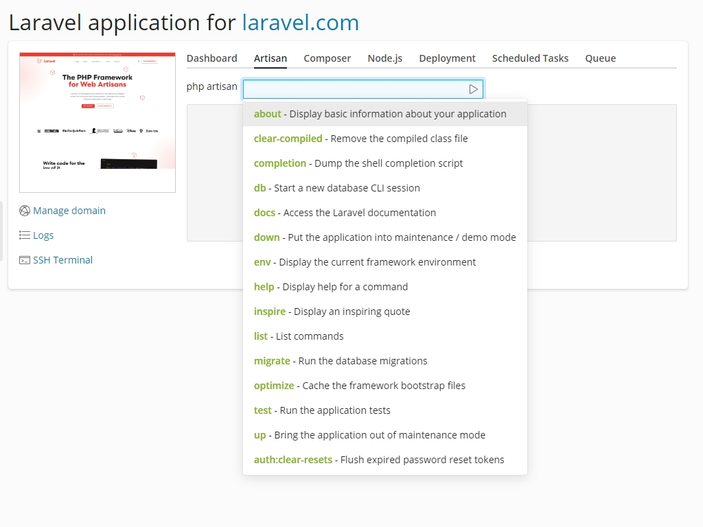 Laravel Toolkit extension - Plesk